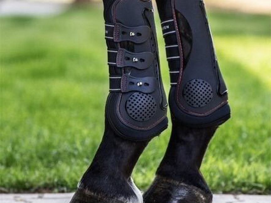 Передние ногавки Waldhausen