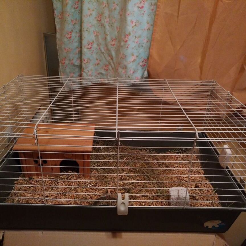 Клетка для кролика + корм + сено