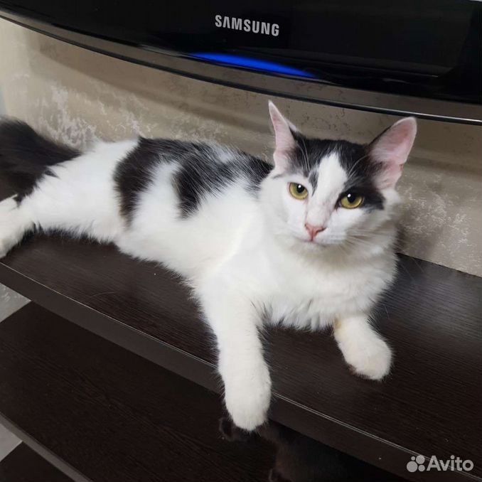 Лексус в добрые руки