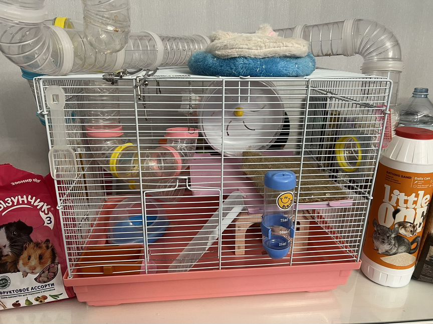 Клетка для грызунов