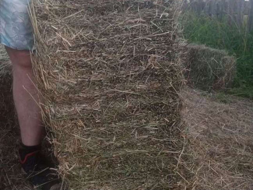 Сено в тюках