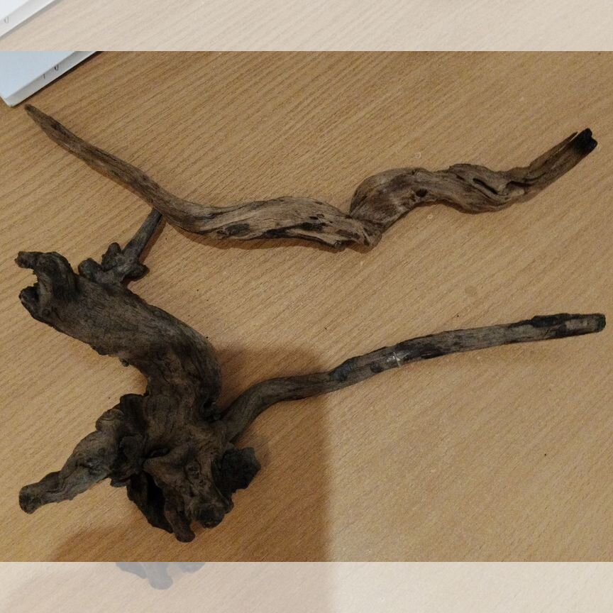 Коряга для аквариума бу