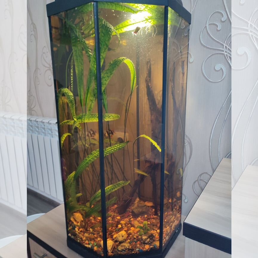 Аквариум 100 литров