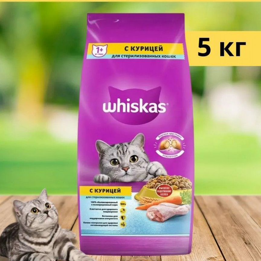 Корм для кошек