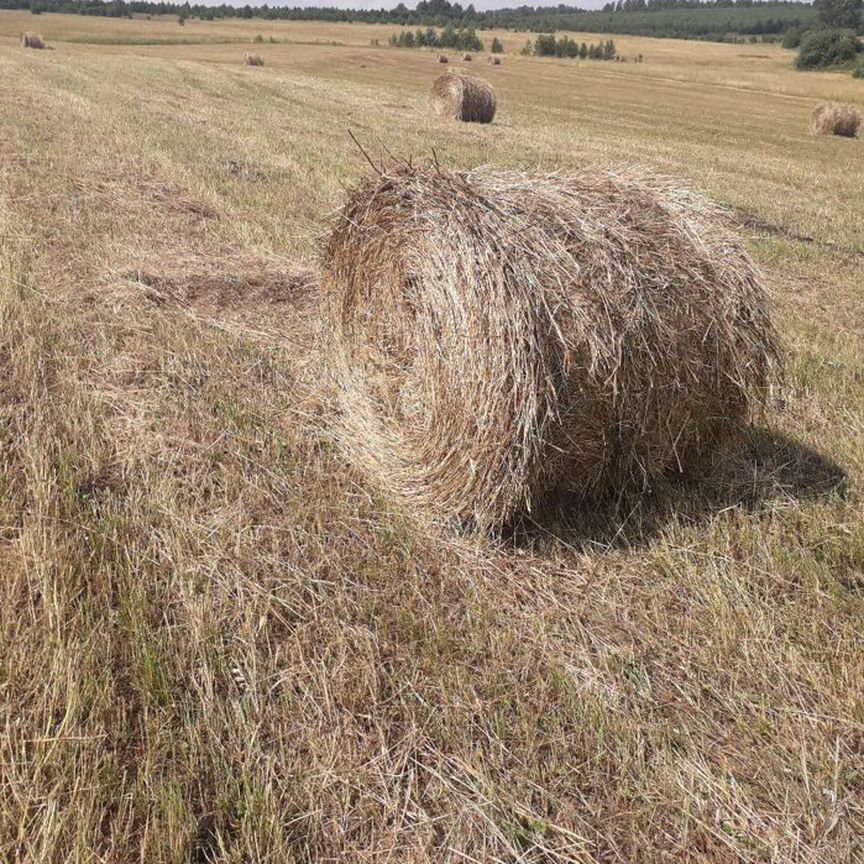 Сено, солома в рулонах