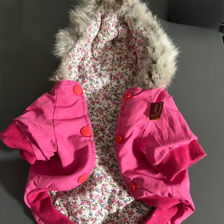 Одежда для животных