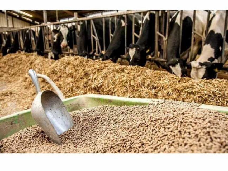 Сельхоз корма
