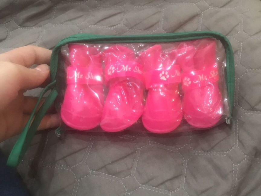 Тапки для собак