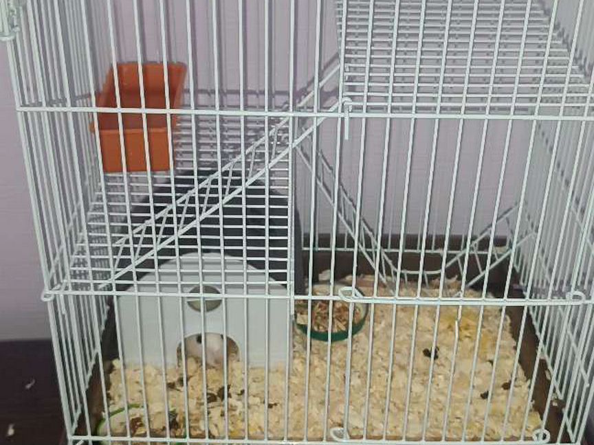 Клетка для крыс