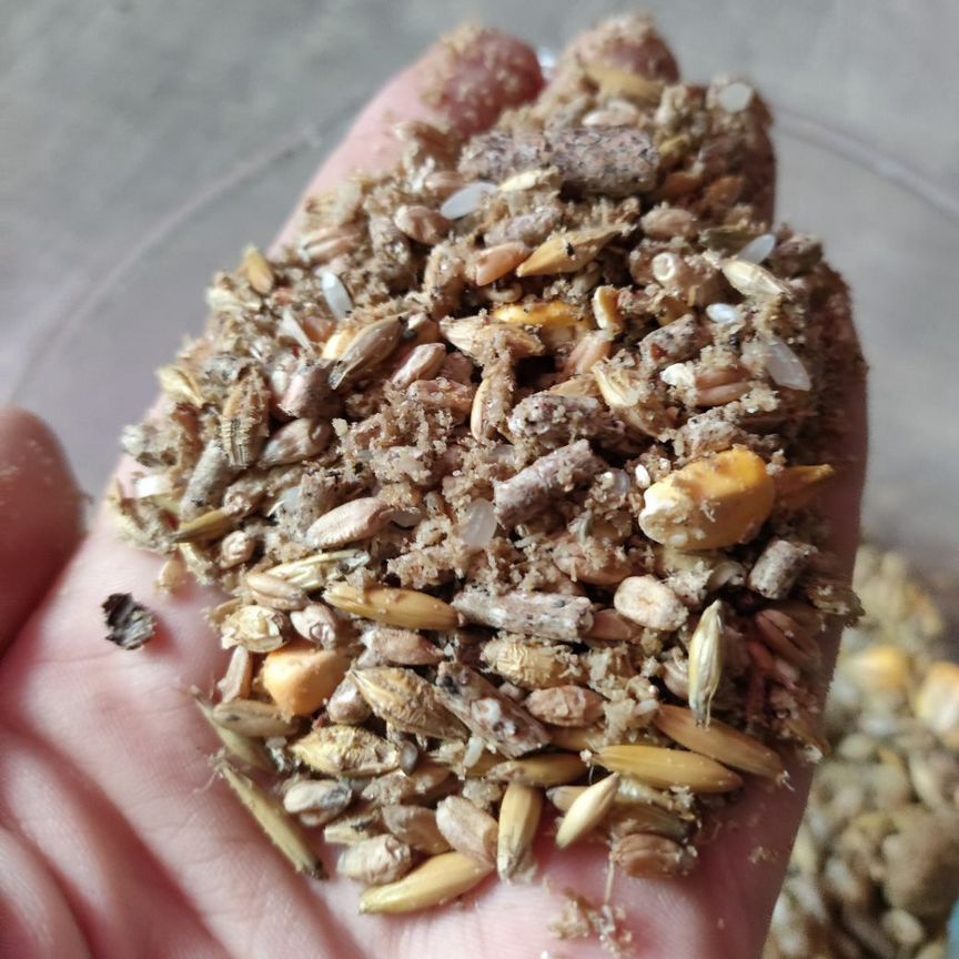 Супер корм для грызунов, птиц, зерносмесь