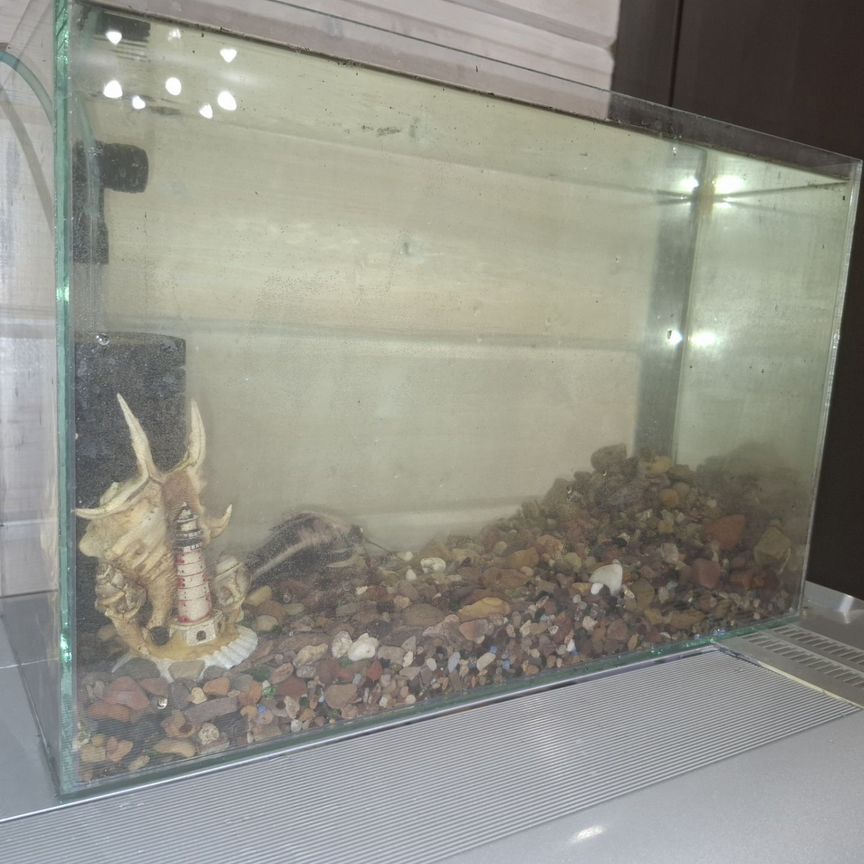 Аквариум с рыбой