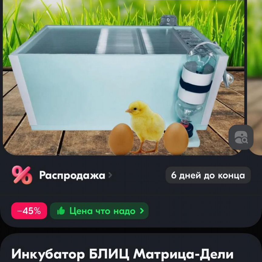 Инкубатор блиц матрица дейли