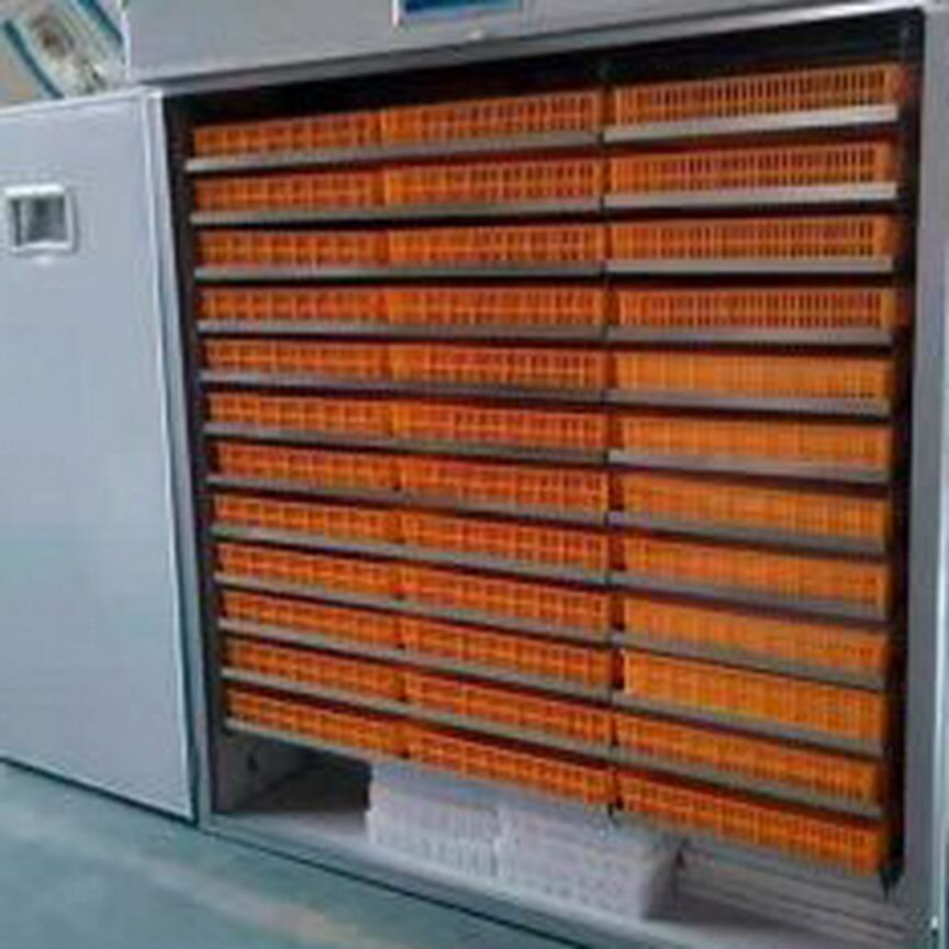 Оборудование полного цикла для птицы