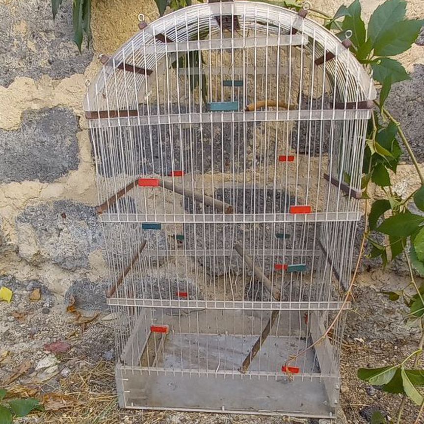 Клетка для певчих птичек