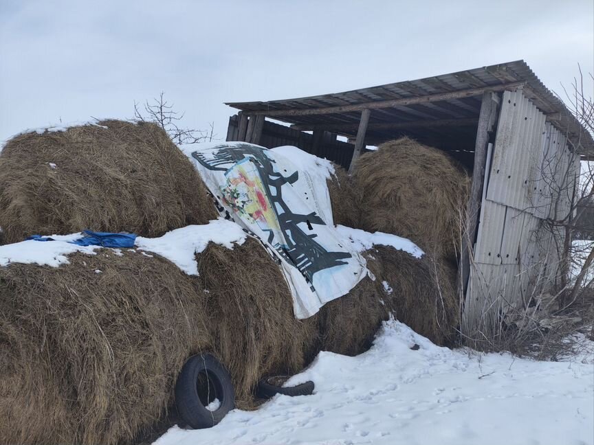 Сено степное