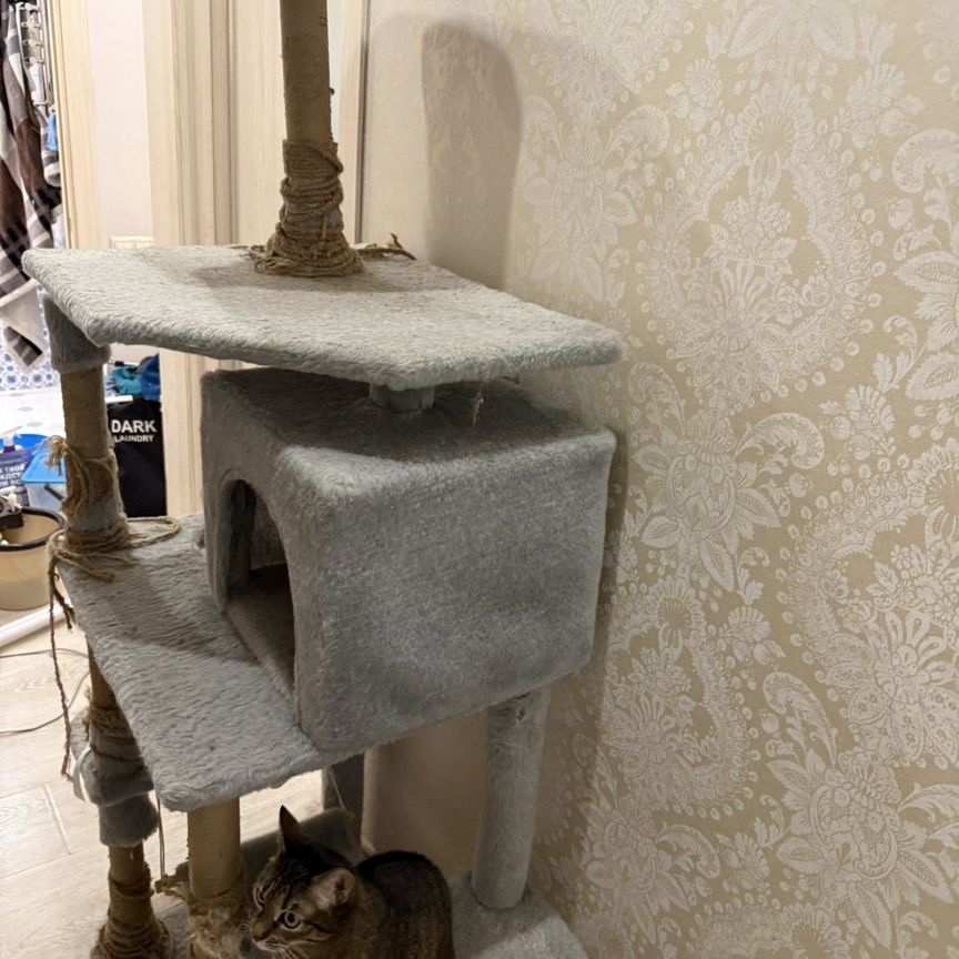 Домик для кошки