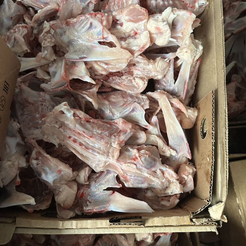 Каркас,трубчатая кость