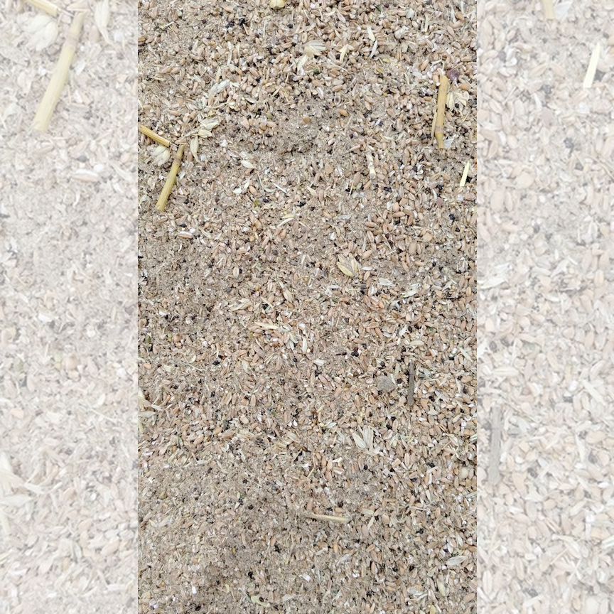 Зерноотходы пшеничные