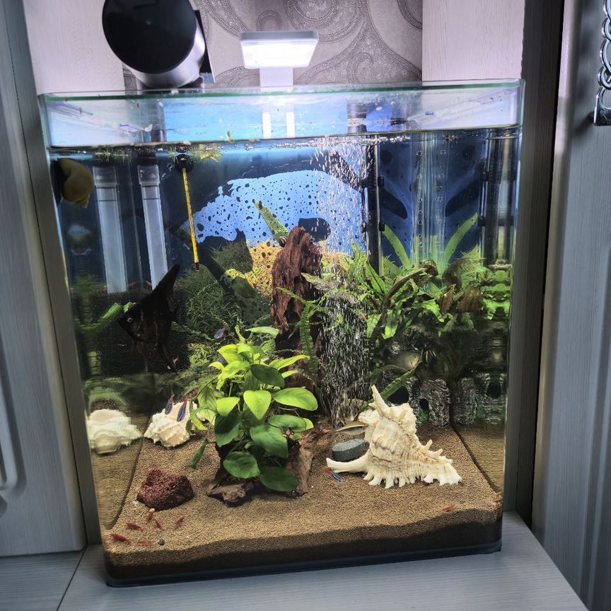 Аквариум 62 литра