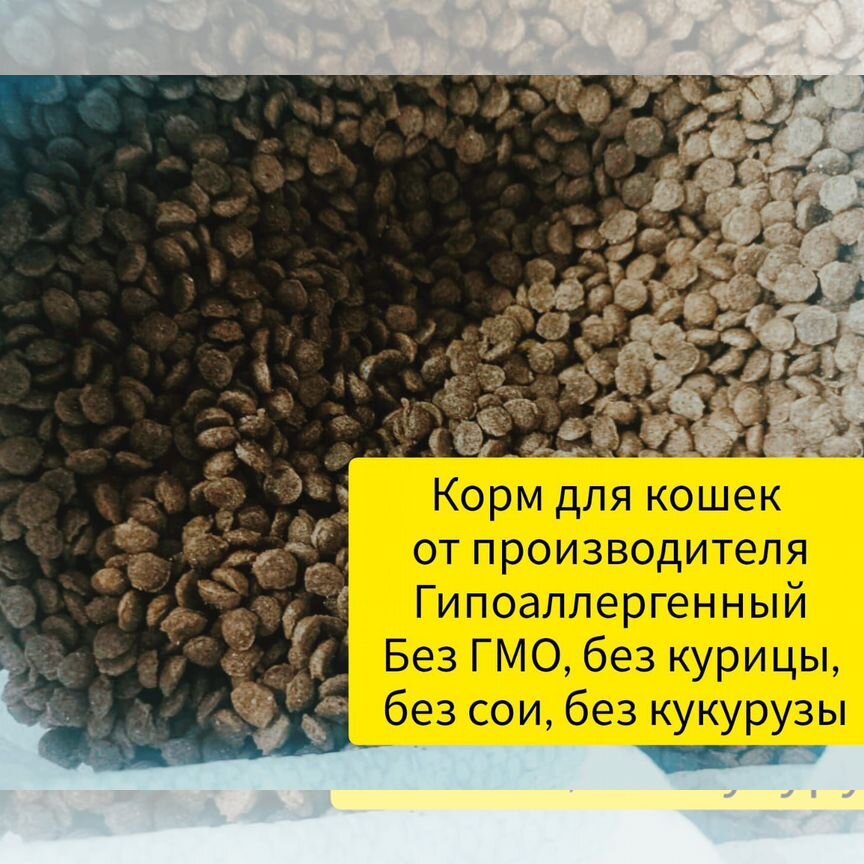 Корм для кошек