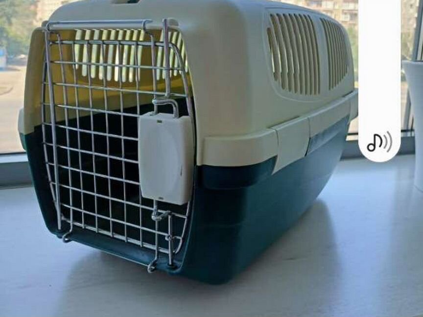 Аренда переноски для кошек и собак