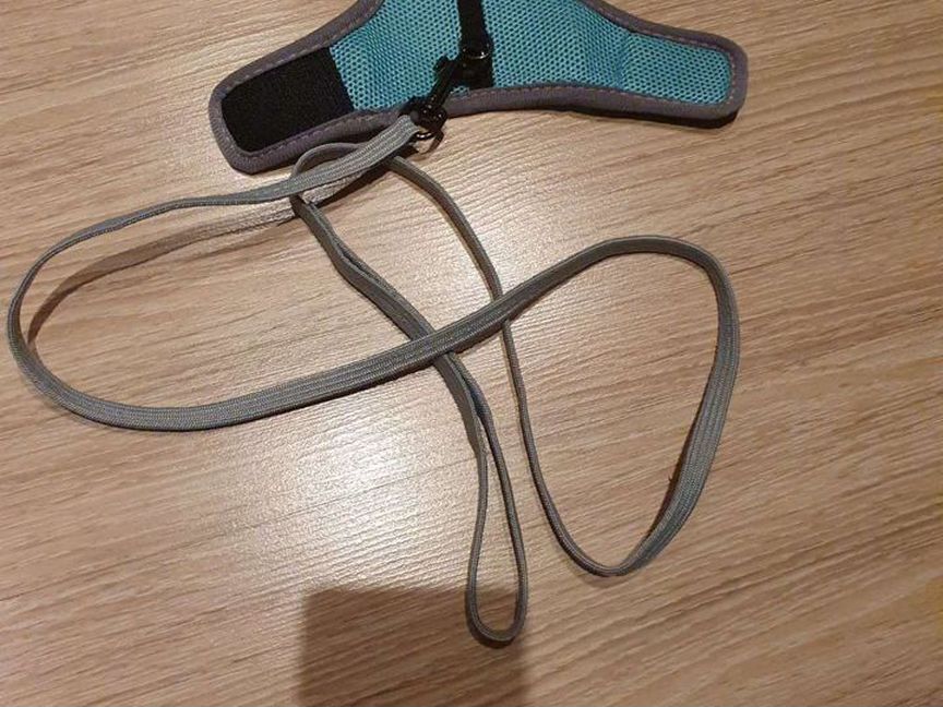 Шлейка для крыс