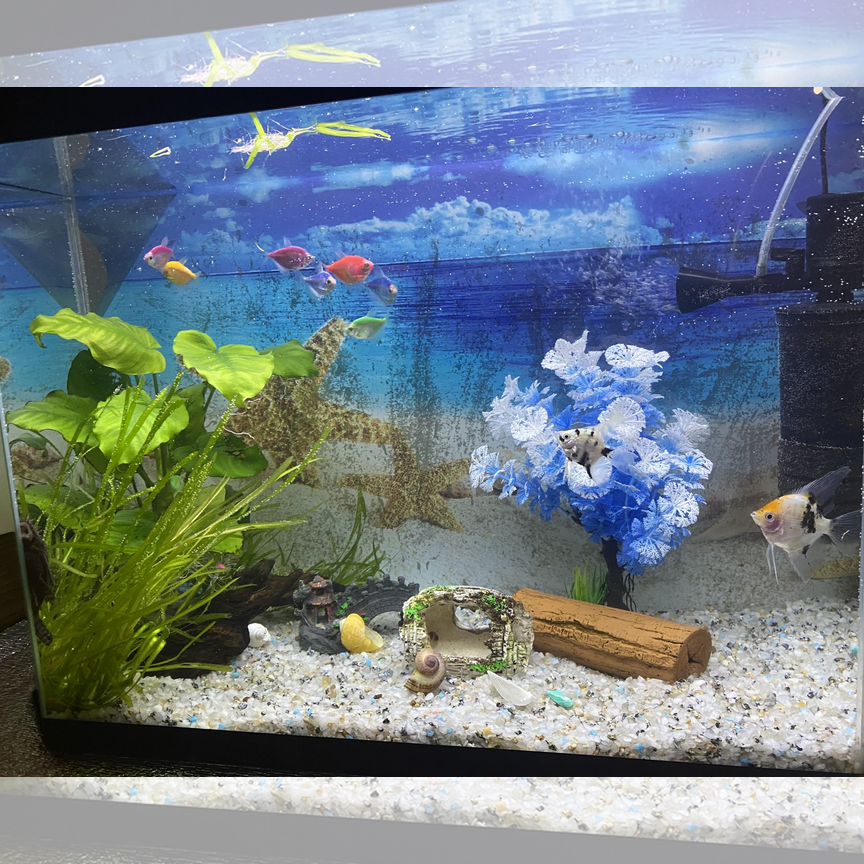 Аквариум на 80 литров
