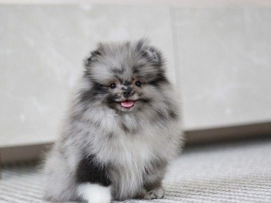 Супер малышка