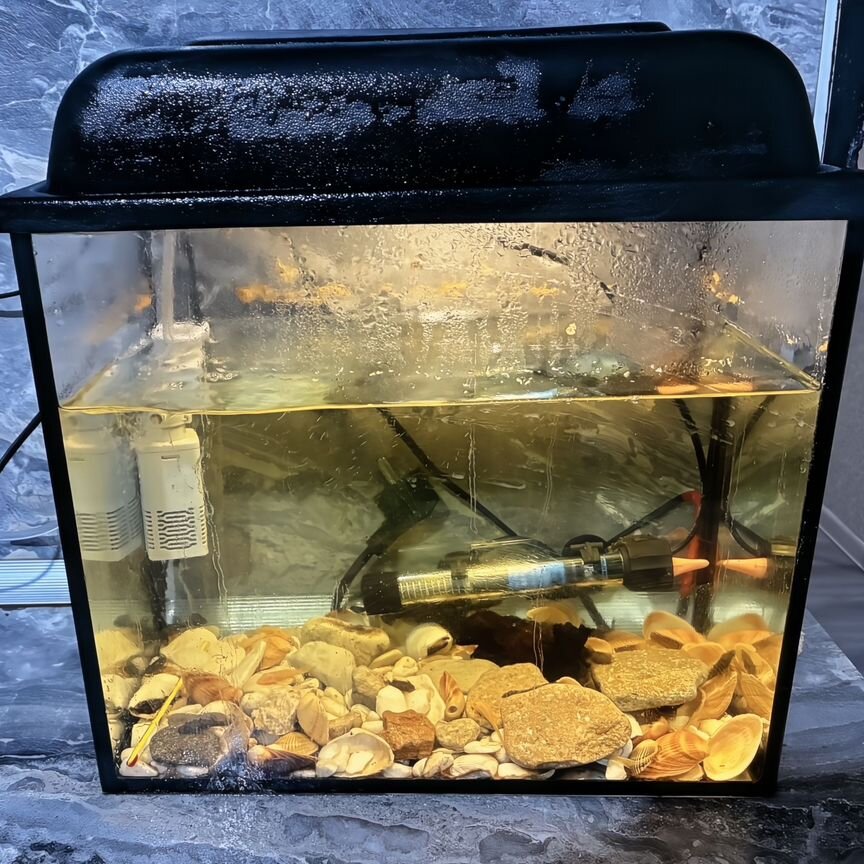 Аквариум с рыбками