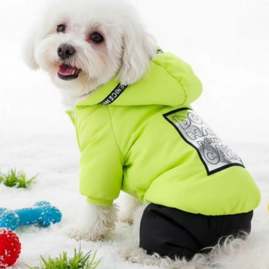 Одежда для собак мелких пород зима