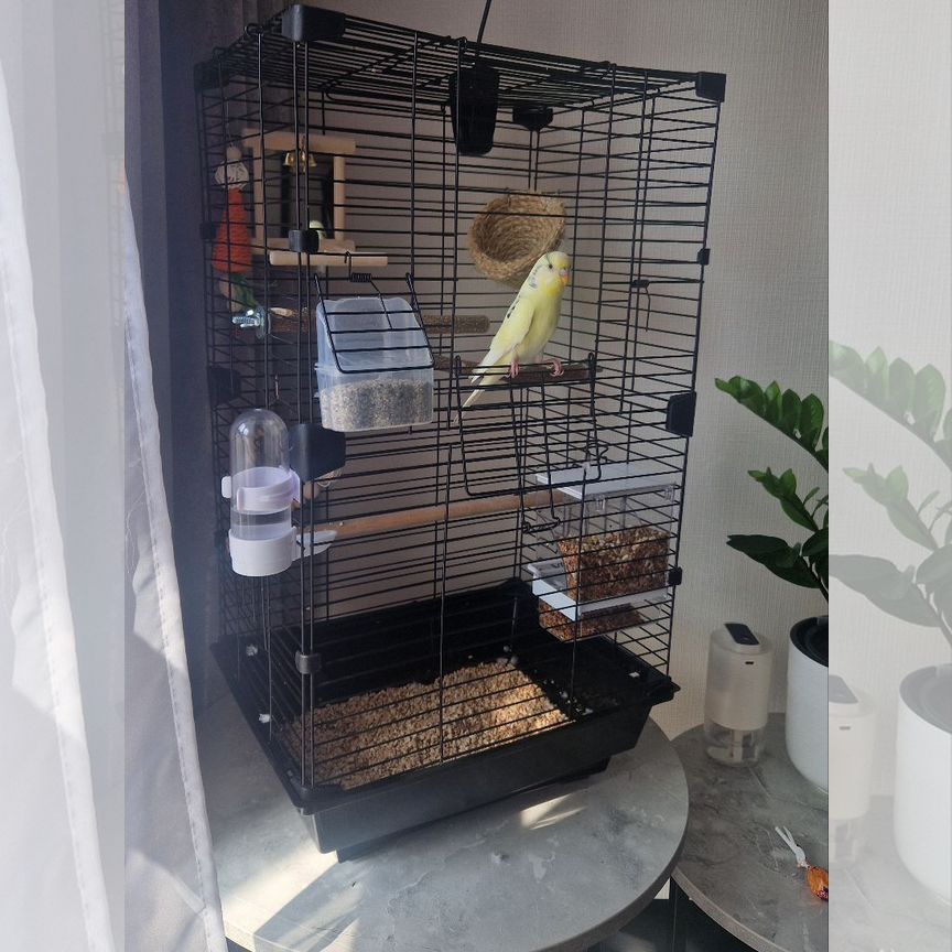 Попугай вместе с клеткой