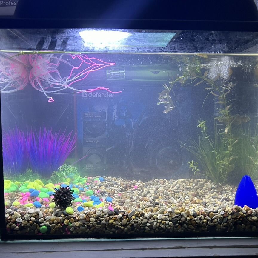 Аквариум на 20л