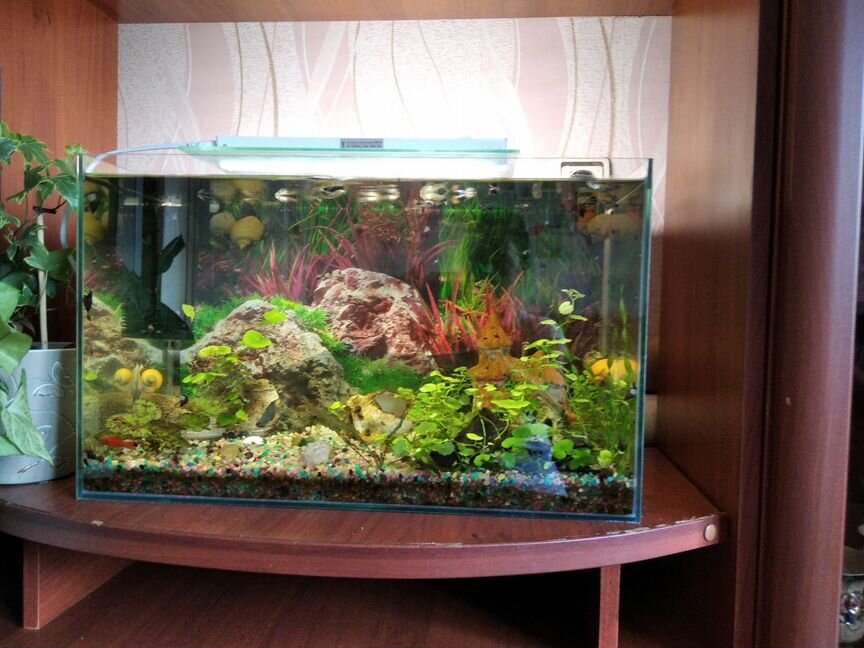Аквариум 45литров