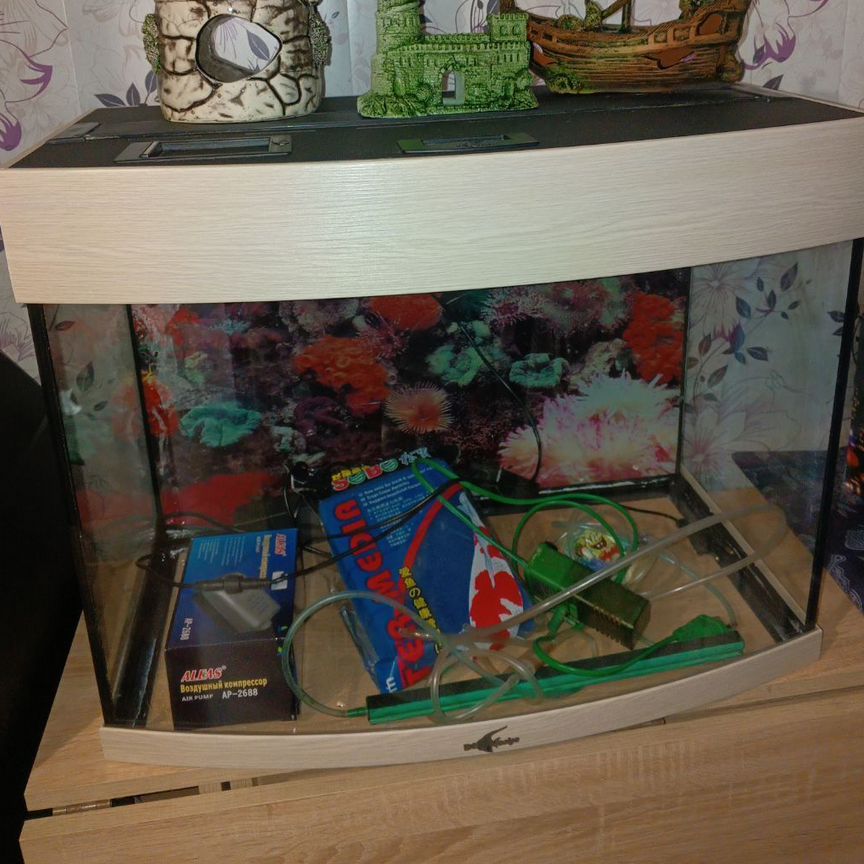 Аквариум