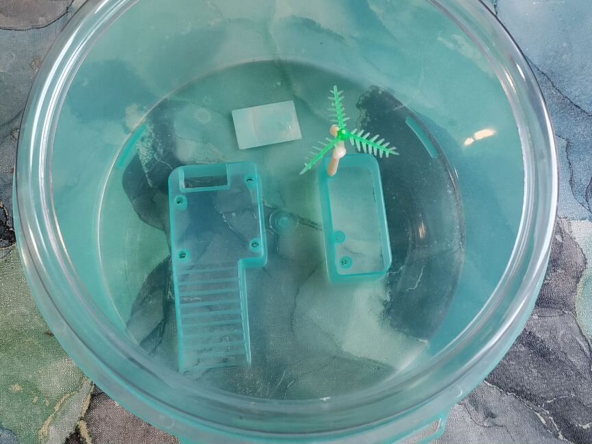 Террариум для черепашки