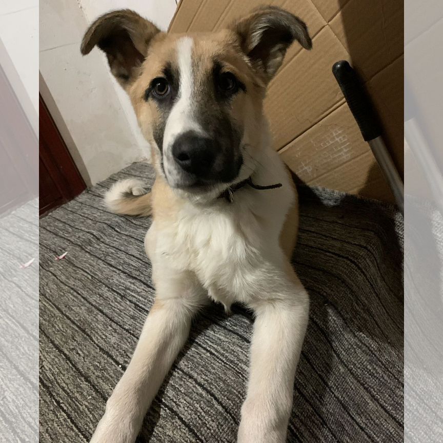 Мальчик красавчик ищет любящую семью