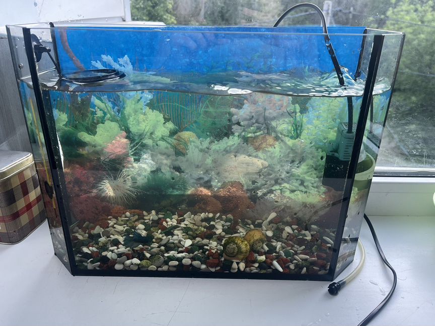 Аквариум с рыбками