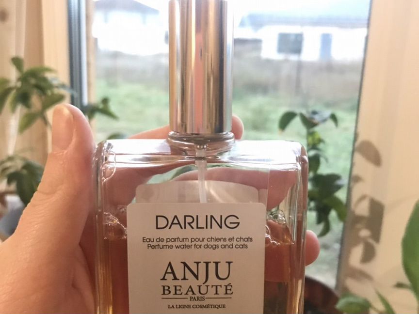 Anju Beauté Духи- Цветы Тиаре (Darling)