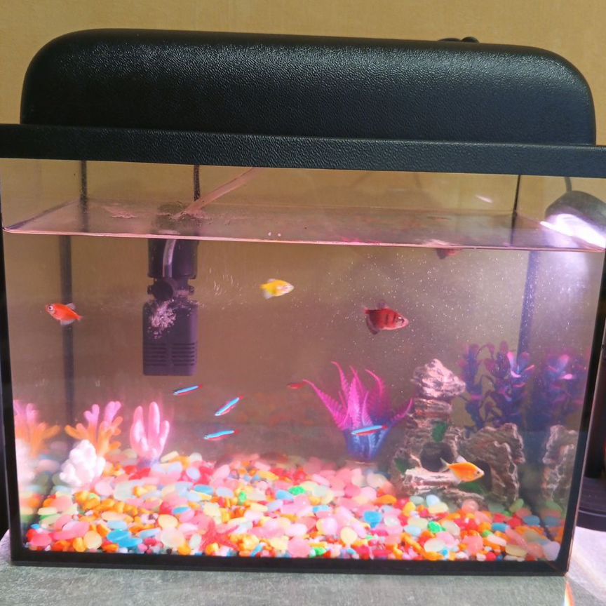Продам аквариум с рыбами