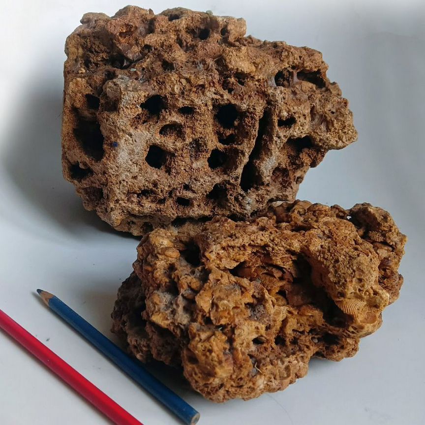 Песчанник для аквариума