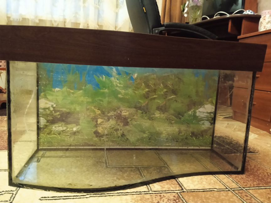 Аквариум