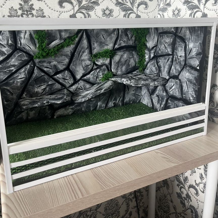 3D фон для террариума