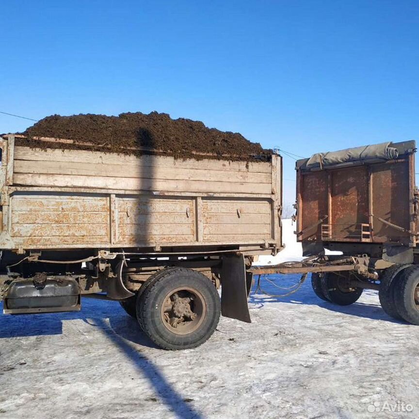 Силос кукурузный, сенаж