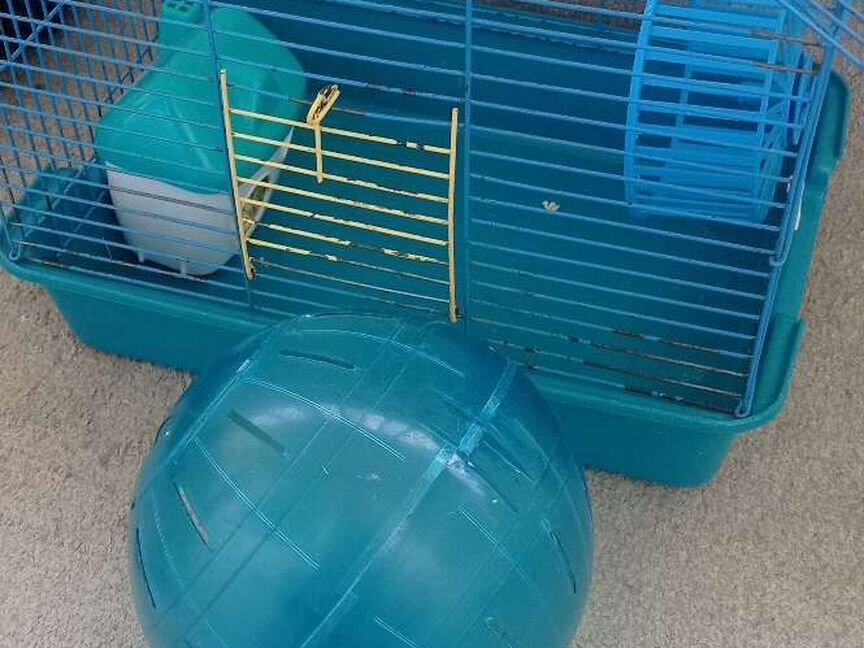 Клетка и шар для сирийского хомяка