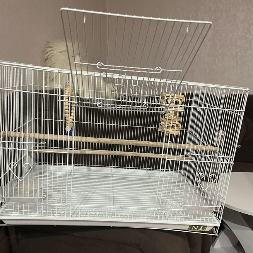 Большая клетка