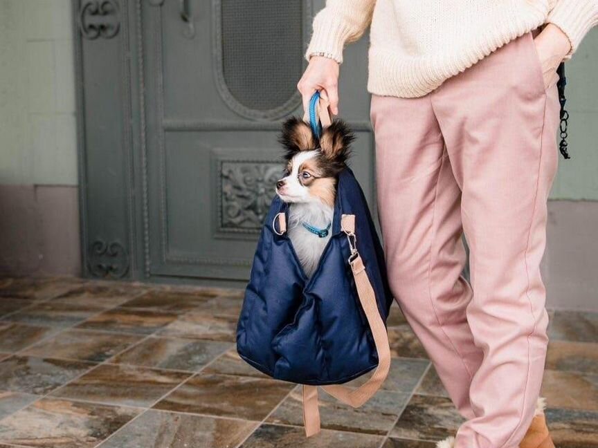 Сумка-автокресло для собак