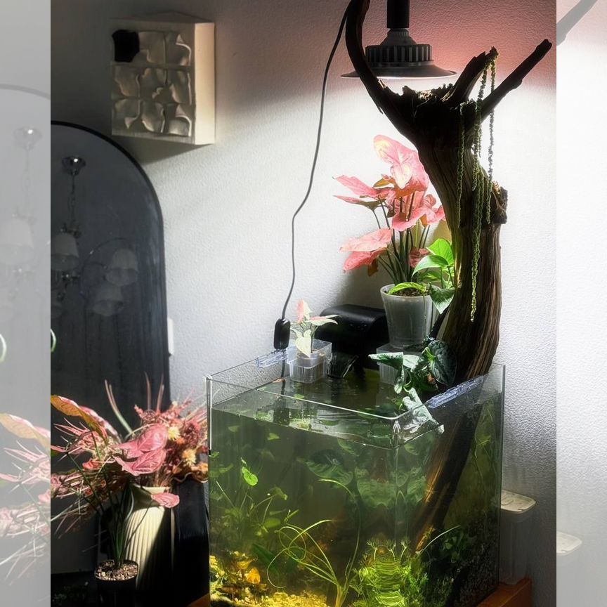 Аквариум-травник на 62л