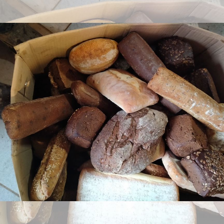 Хлеб и Сухари