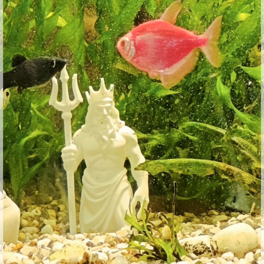 Для аквариума