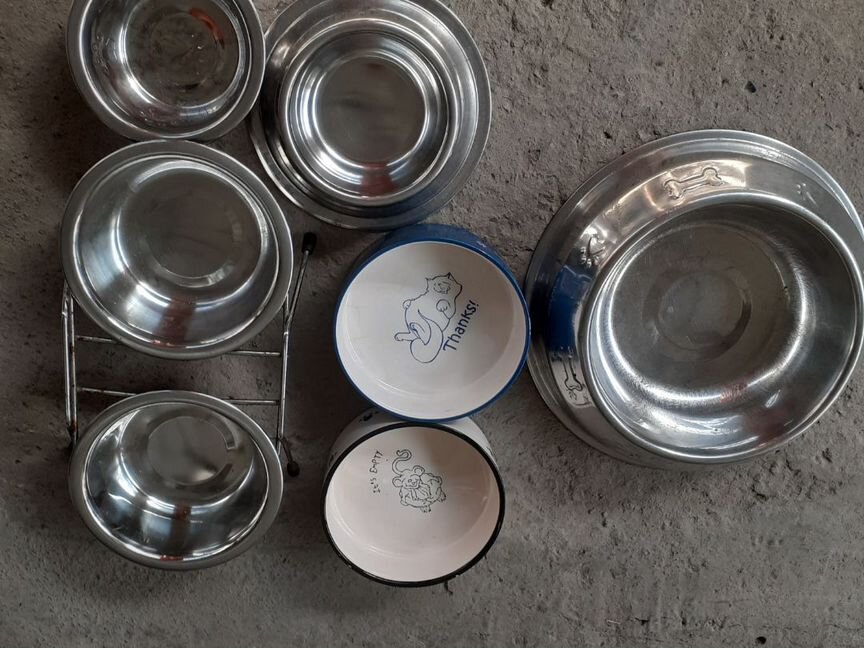 Все для животных, миски, лоток, поводки одежда